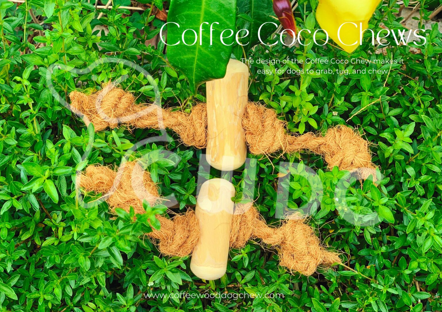 What Makes Coffee Coco Chews Special for Your Dog ? - Coffee Wood Chew ...